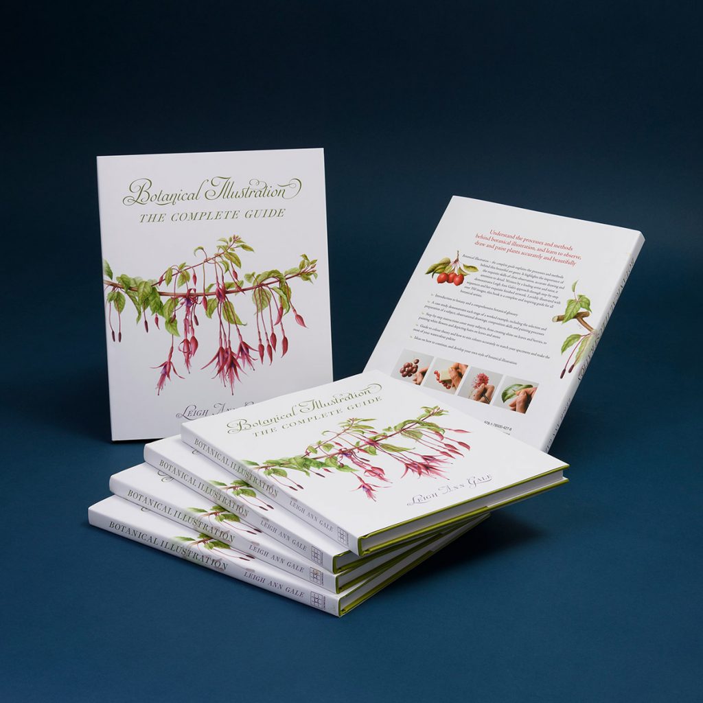 Botanical Illustration – the complete guide (Hardback) - Leigh Ann Gale ...