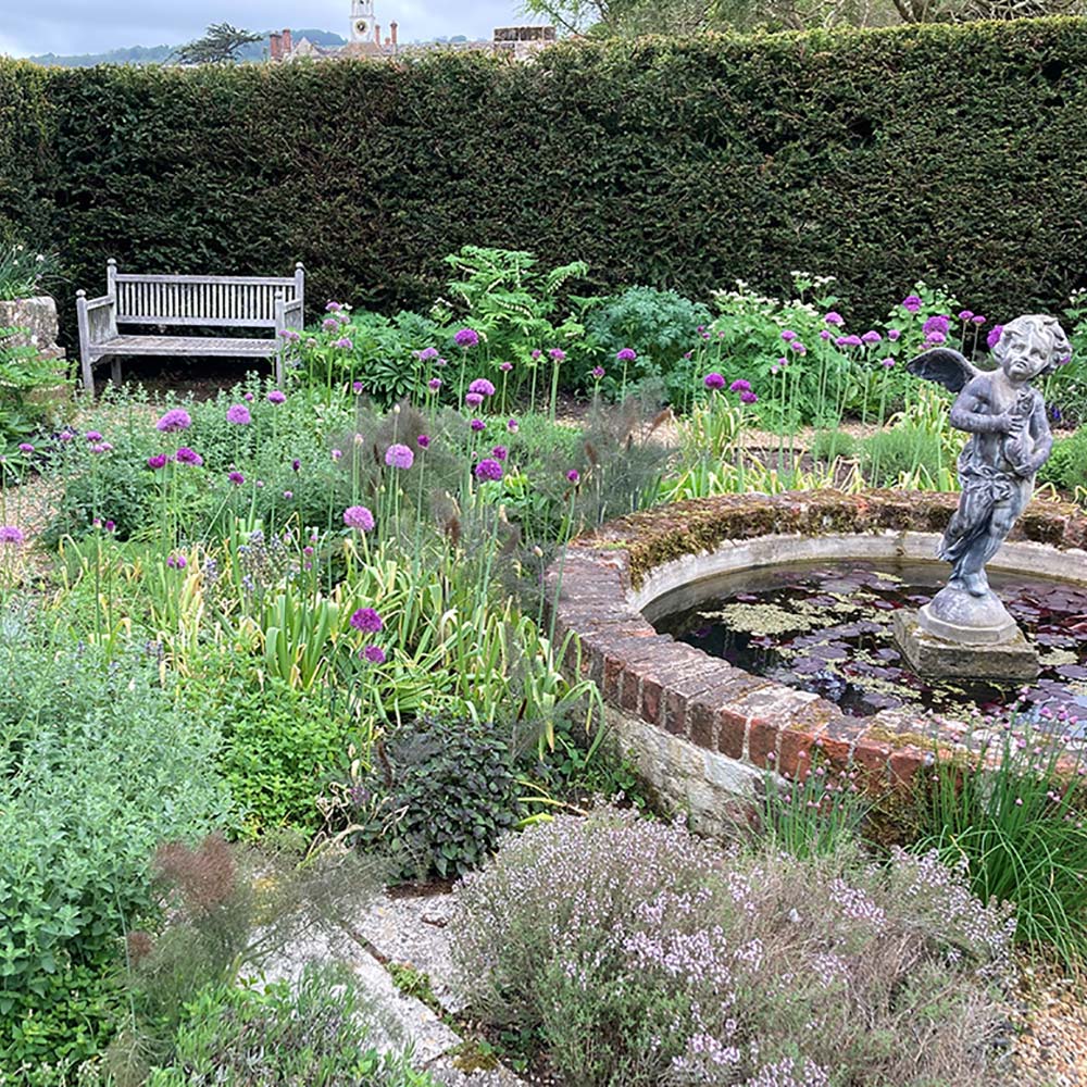 One day workshops - Leigh Ann Gale Botanical Art & Tuition